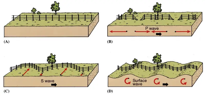Understanding Seismic Waves: Exploring the Fundamental Forces Shaping ...