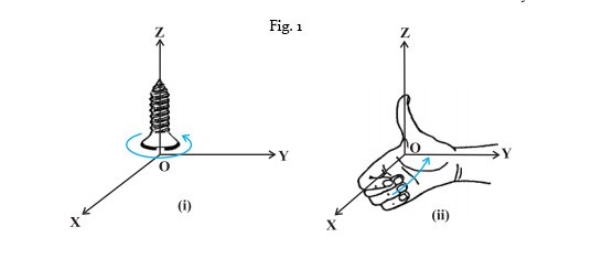 Understanding Vector Product: Definition, Formula, Characteristics ...